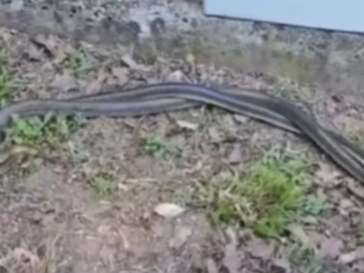 "Zmiski ples" na Banj brdu: Nesvakidašnja scena zatekla šetače (VIDEO ...